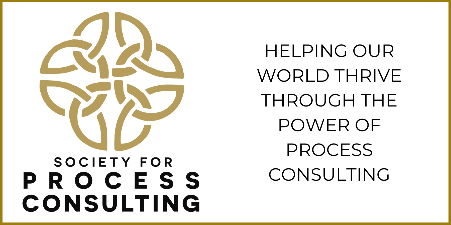 Course Description | Society for Process Consulting